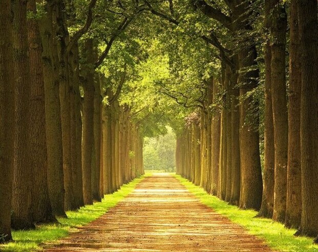 人生的道路 - 阿里巴巴商友圈